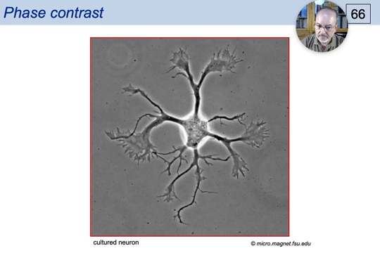 - 04 - Inverted Microscope & Phase Contrast.Mp4