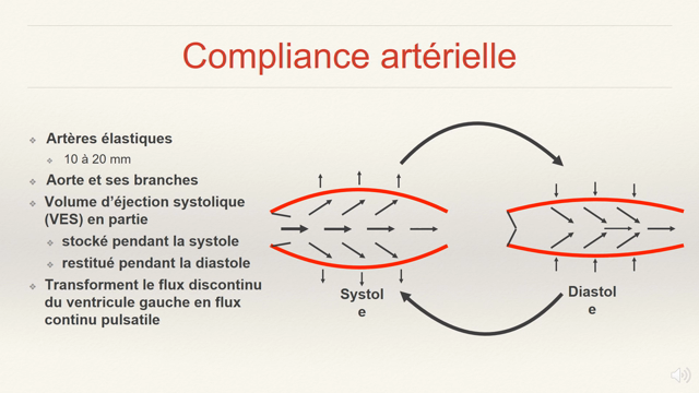 - Rappel Physiologique Hémodynamique (Meyer)