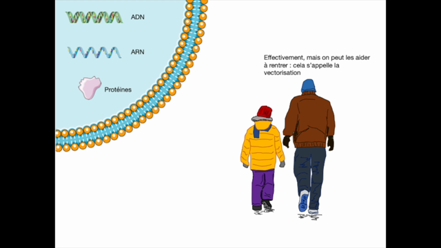 - Comprendre La Vectorisation