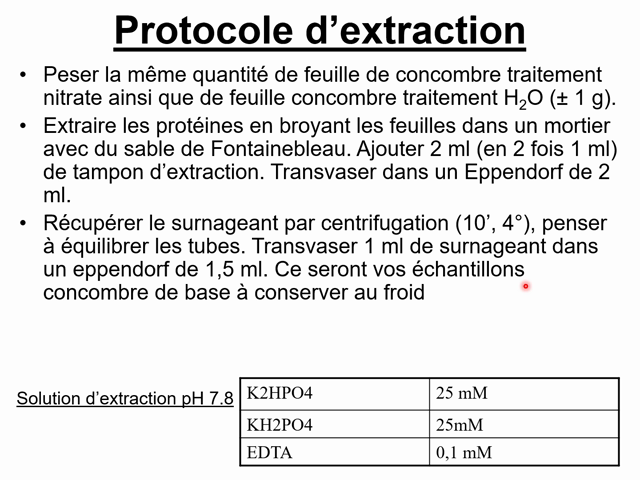 - La Superoxyde Dismutase 2024 Bis.Mp4