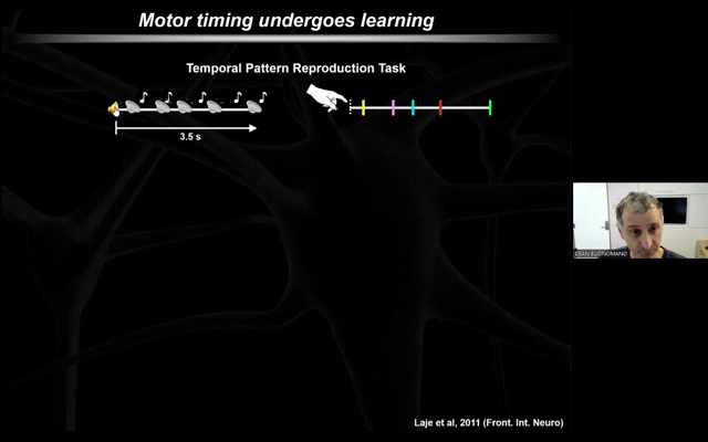 - Time, Timing And Neural Dynamics