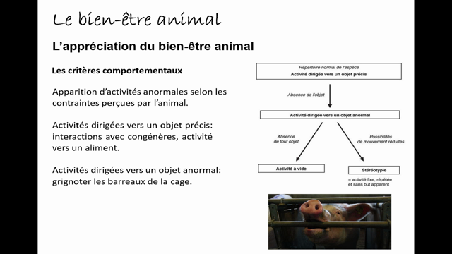 - L3 Iec Bien Être Animal