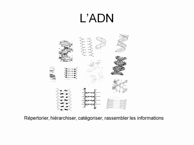 - Essai De Définition D'Une Typologie Des Imag…